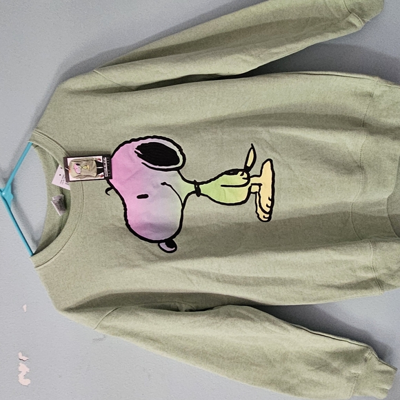 Peanuts | Sweaters | Peanuts Mint Green Snoopy Sweatshirt | Poshmark